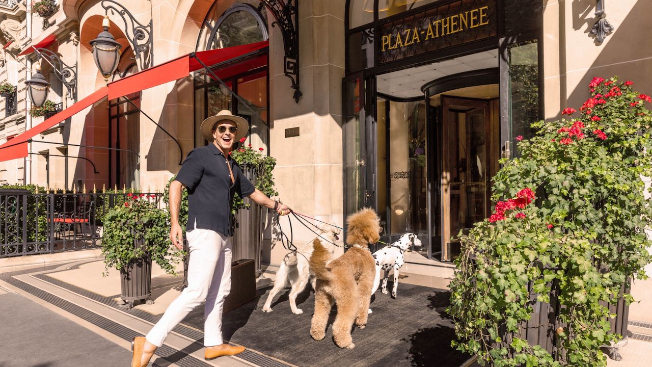 Gray Malin’s dogs at Hôtel Plaza Athénée | Dorchester Collection