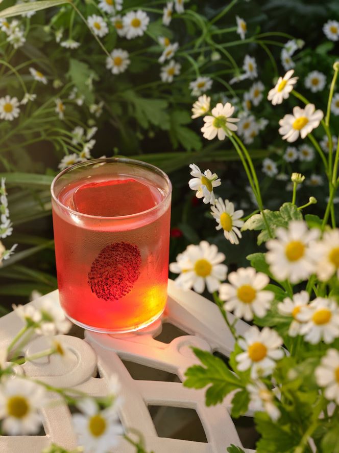 Cocktail Bar, Mayfair | Vesper Bar At The Dorchester, London